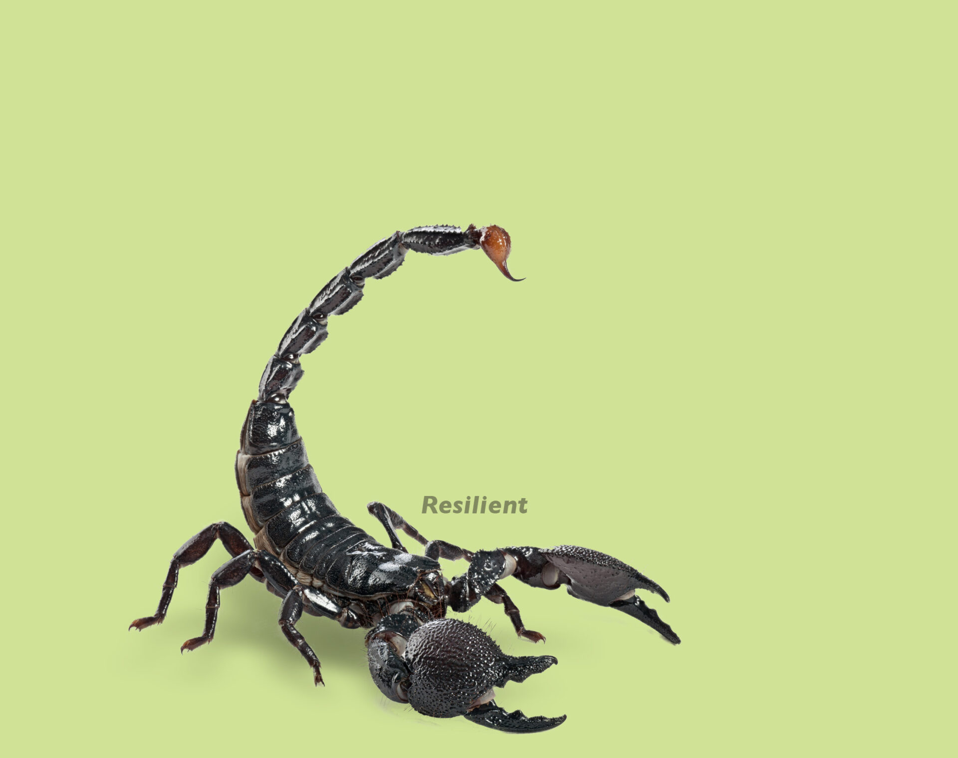 FICC (Fixed Income, Credit, Currency) Forum 2023 - Investment ...